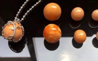 椰子螺龙珠是什么_椰子螺龙珠怎么吃