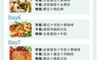 如何科学减肥不反弹_最有效的减肥方法是什么