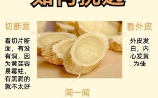 黄芪的功效与作用_黄芪适合哪些人群