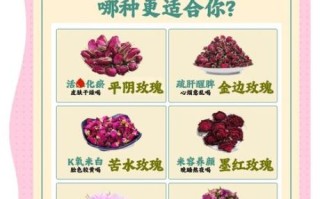 玫瑰花茶的功效与禁忌_长期喝有什么副作用