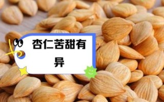 中药杏仁图片_苦杏仁与甜杏仁怎么区分