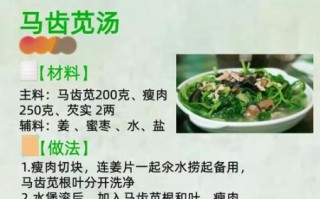 马齿菜的功效与作用及禁忌_马齿菜怎么吃最好