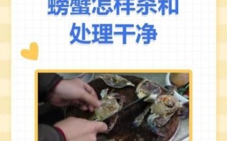 螃蟹怎么杀_螃蟹怎么洗