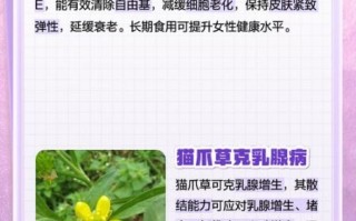 猫爪草怎么服用_猫爪草一天吃几次