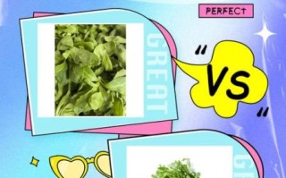 蓬蒿比喻什么_蓬蒿象征意义有哪些