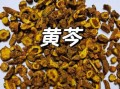 黄芩图片长什么样_黄芩真假如何辨别