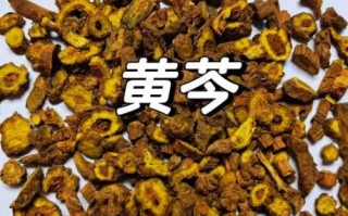 黄芩图片长什么样_黄芩真假如何辨别