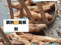 葛根粉和藕粉哪个更好_葛根粉与藕粉的区别