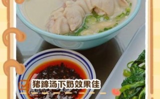 月子餐猪蹄汤的做法_下奶猪蹄汤怎么炖