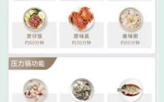 电压力锅懒人食谱_电压力锅能做哪些快手菜