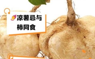凉薯可以生吃吗_生吃凉薯的注意事项