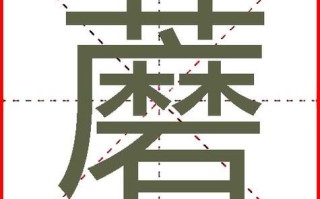 菇组词有哪些_菇的拼音怎么写