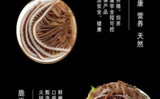 牛肚黑绒怎么去除_牛肚黑色绒毛清洗方法