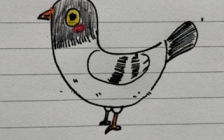 鸽子怎么画_鸽子简笔画步骤 鸽子怎么画_鸽子简笔画步骤
