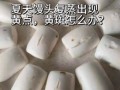 蒸馒头为什么发黄_怎么蒸出又白又松软的大馒头