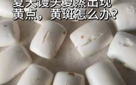 蒸馒头为什么发黄_怎么蒸出又白又松软的大馒头