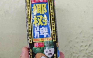 椰浆和椰汁有什么区别_椰浆可以代替椰汁吗