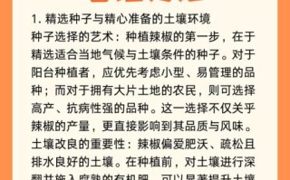 辣椒怎么种_辣椒种植与管理技术