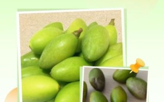 青果是什么_青果的功效与作用