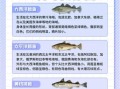 水鳕鱼和油鱼有什么区别_如何辨别真假鳕鱼