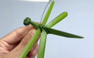 棕叶编织教程_棕叶编织能做什么