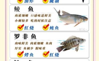 中国四大名鱼有哪些_中国四大名鱼产地与做法