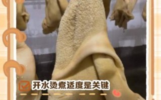 新鲜牛肚怎么处理干净_牛肚去腥去黑膜技巧