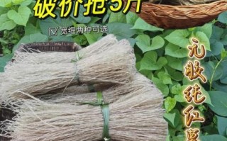 正宗红薯粉条多少钱一斤_如何挑选不踩坑