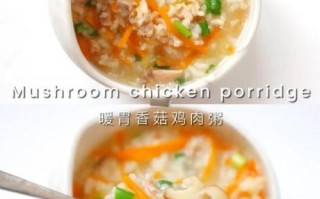 鸡肉粥怎么做_鸡肉粥怎么做好吃又嫩
