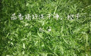 茴香炒菜怎么做好吃_茴香炒什么最香