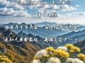 重阳节古诗全首有哪些_重阳节古诗全首赏析