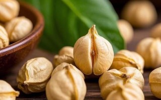 鹰嘴豆和鹰豆嘴一样吗_鹰嘴豆与鹰豆嘴区别