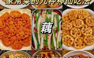 炒藕片怎么炒好吃_家常炒藕片的做法大全