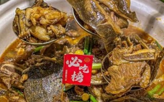 土鳖吃什么食物_土鳖最爱吃什么