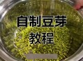 自制豆芽的方法_家庭发豆芽的窍门
