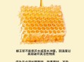 蜂王浆能提高性功能吗_蜂王浆对男性性功能的作用