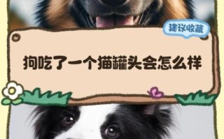 猫罐头狗能吃吗_狗吃猫罐头会怎样