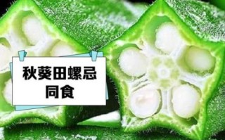 吃秋葵的禁忌有哪些_秋葵不能和什么一起吃