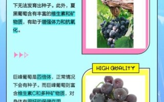 夏黑葡萄和巨峰葡萄的区别_哪个更甜更好吃