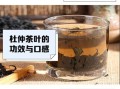 常喝杜仲茶有什么好处_杜仲茶能降血压吗