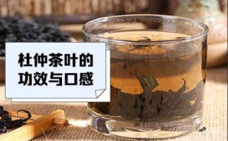 常喝杜仲茶有什么好处_杜仲茶能降血压吗