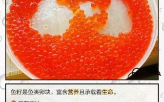 鱼籽怎么保存_鱼籽的营养价值