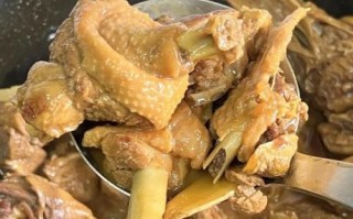 家常鸭肉怎么做好吃_鸭肉去腥嫩滑的秘诀