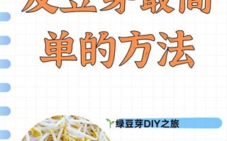 绿豆芽怎么生_家庭绿豆芽发芽技巧