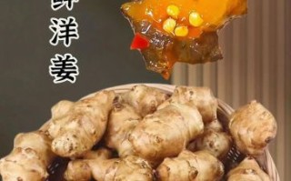 鲜洋姜怎么吃_鲜洋姜的做法大全