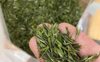 雨花茶属于什么茶_雨花茶多少钱一斤