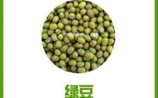 防辐射的食物有哪些_哪些食物防辐射效果最好