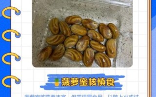 菠萝蜜的核能吃吗_怎么吃才安全