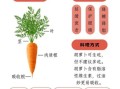胡萝卜有哪些营养成分_胡萝卜怎么吃最营养