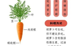 胡萝卜有哪些营养成分_胡萝卜怎么吃最营养